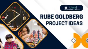 20+ Innovative Rube Goldberg Project Ideas