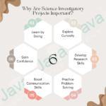 150+ Creative Science Investigatory Project Ideas