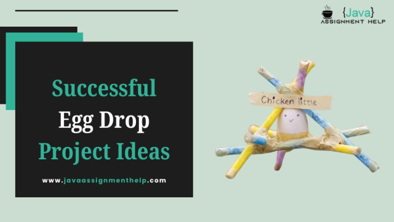 27+ Best & Successful Egg Drop Project Ideas In 2024